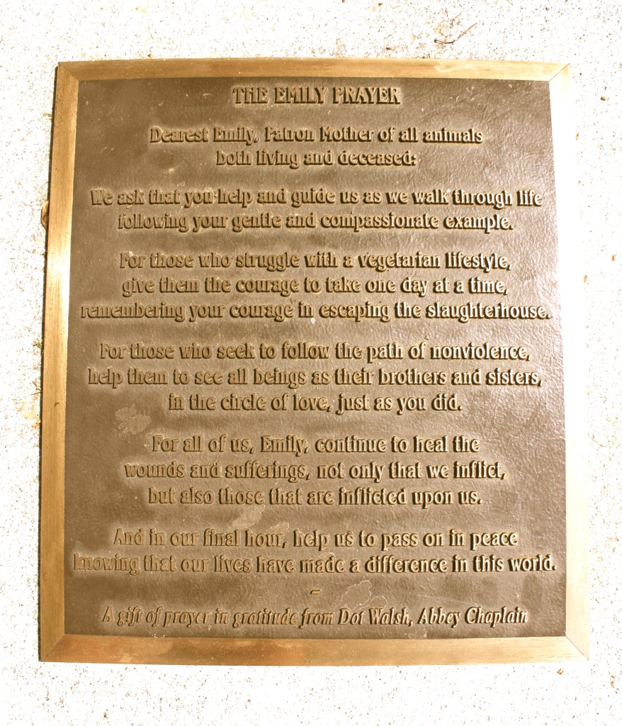 Animal Rights & Emily the Cow | The Peace Abbey FoundationThe Peace ...